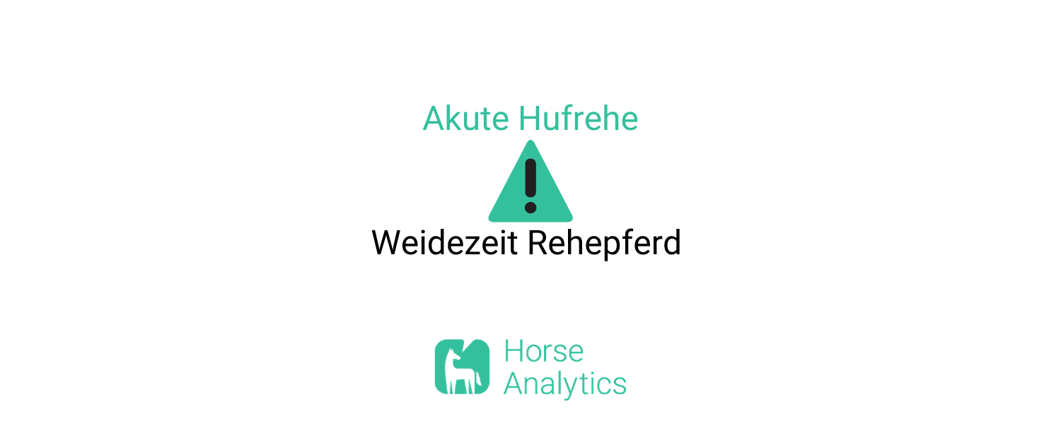 Weidezeit Rehepferd – horseanalytics.com