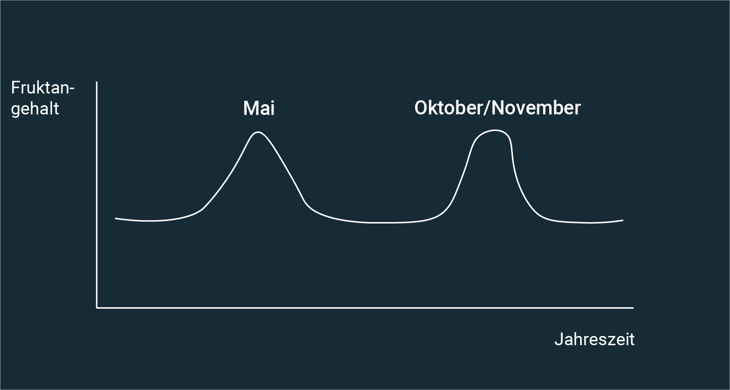Fruktan – horseanalytics.com