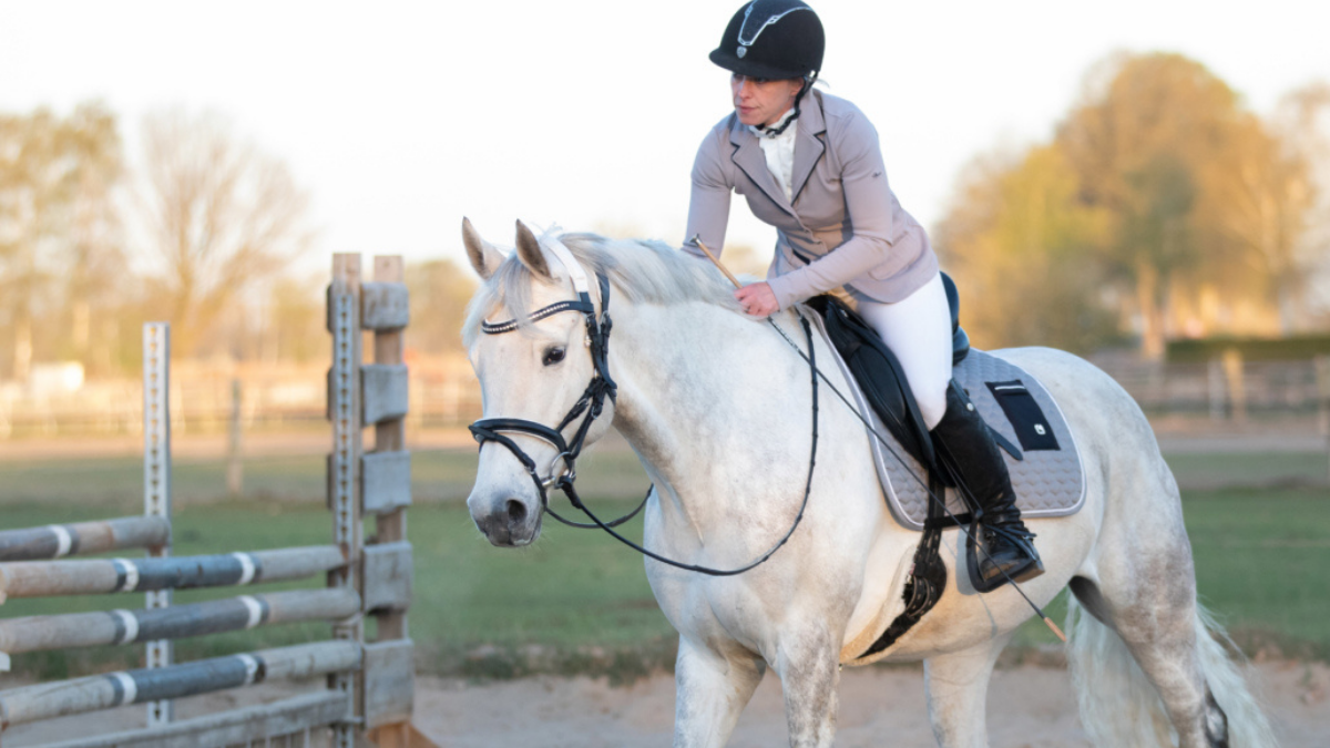 First level dressage - a detailed training program for your next ...